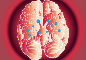 Onze geweldige hersenzenuwen en hoe ze werken - Verken je geest